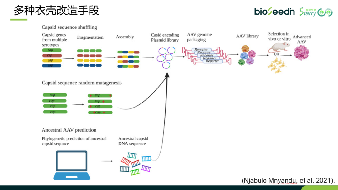 知丘-剧透 | 眼科AAV基因治疗的衣壳改造、基因编辑
